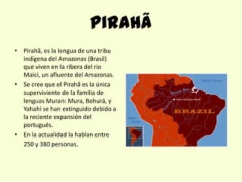 La lengua pirahã - hablarydecir